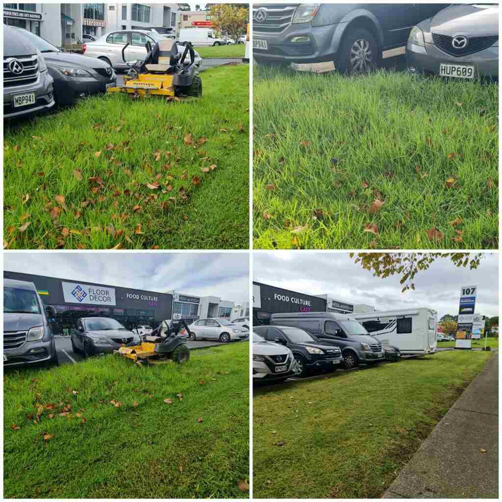 Commercial Auckland Services | A1 Landscape