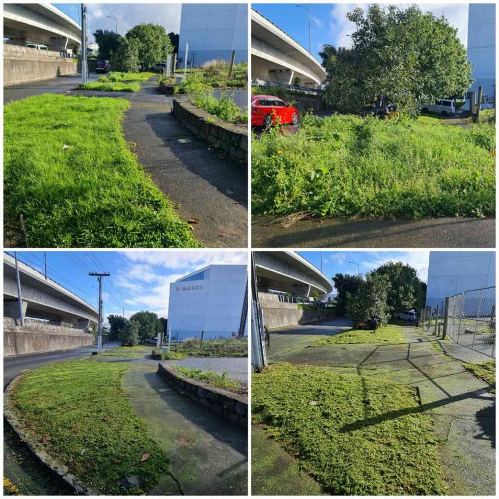 Our Services | A1 Landscape